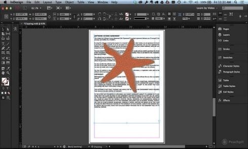 SVG Kit for Adobe Creative Suite | SCAND